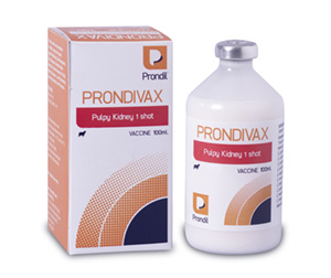 Products for: Pulpy Kidney Disease - Prondil S.A.
