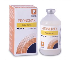 PRONDIVAX PULPY KIDNEY - Prondil S.A.